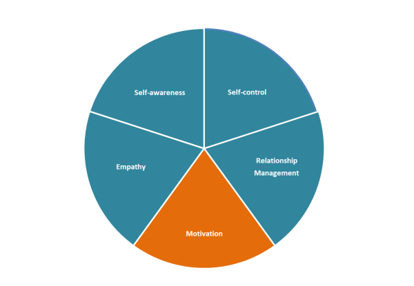 5 elements of EQ - Change & Strategy